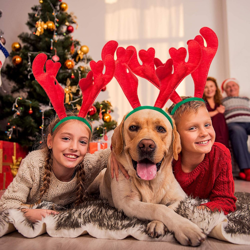 Pack Navidad XXL 150 personas | Reina de la Fiesta